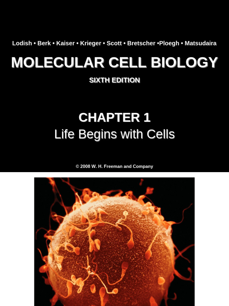 Molecular Cell Biology Overview | PDF