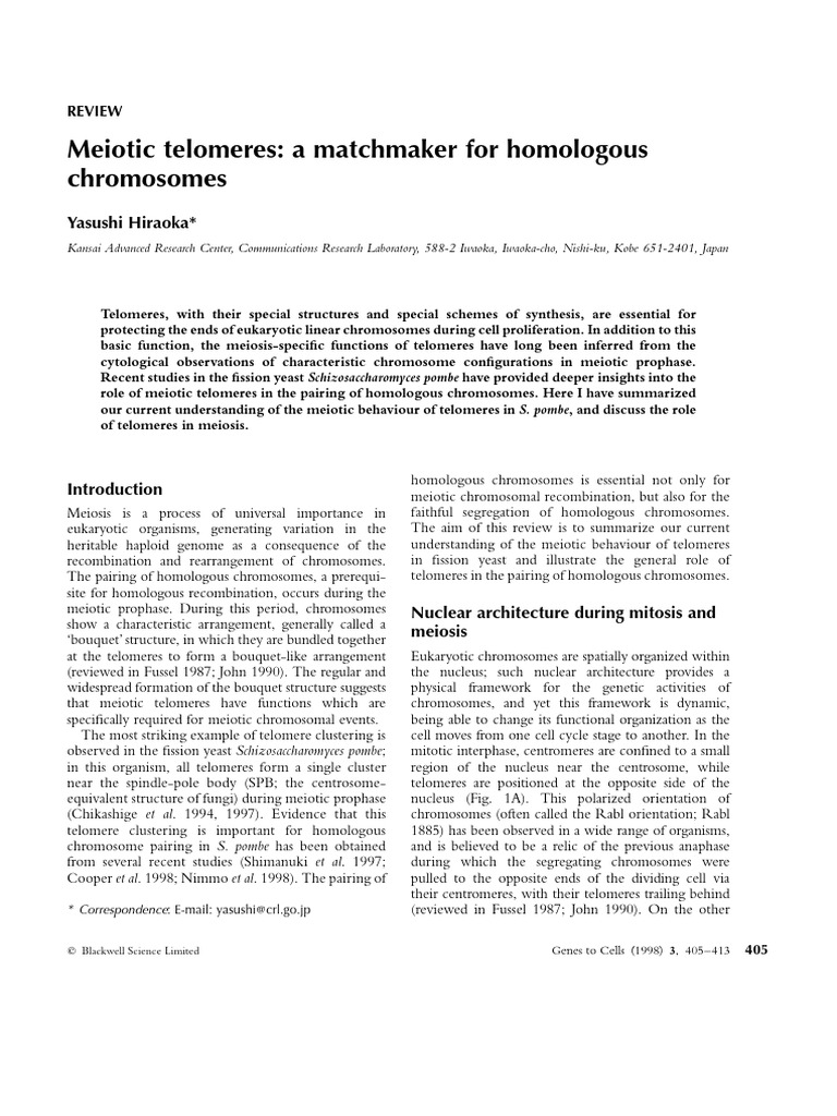 Genes to Cells - 2002 - Hiraoka - Meiotic Telomeres a Matchmaker for ...