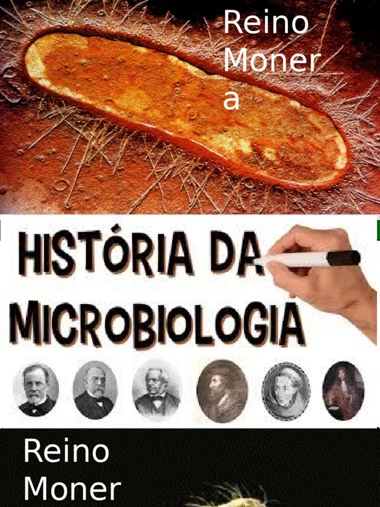 Reino Monera - Atualizado | PDF | Bactérias | Célula (Biologia)
