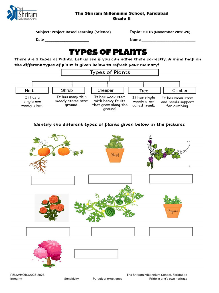 Subject: Project Based Learning (Science) : Herb Shrub Creeper Tree ...