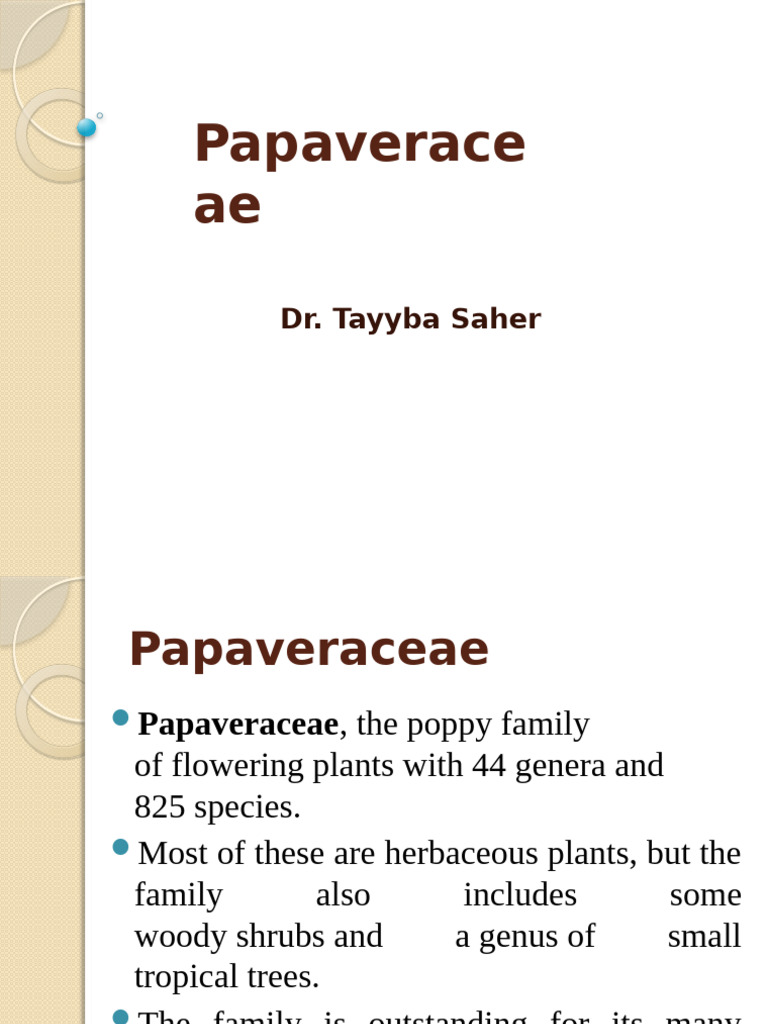 Papaveraceae - 558' 8 Pharmacognosy | PDF