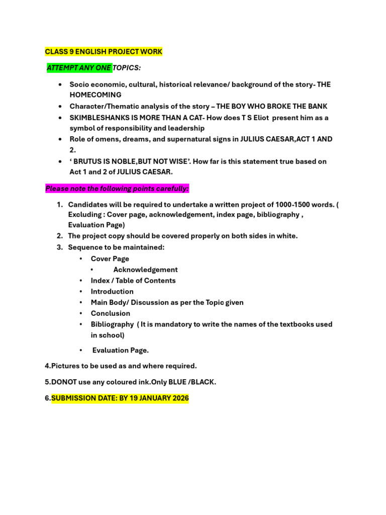 Class 9 English Project Guidelines | PDF
