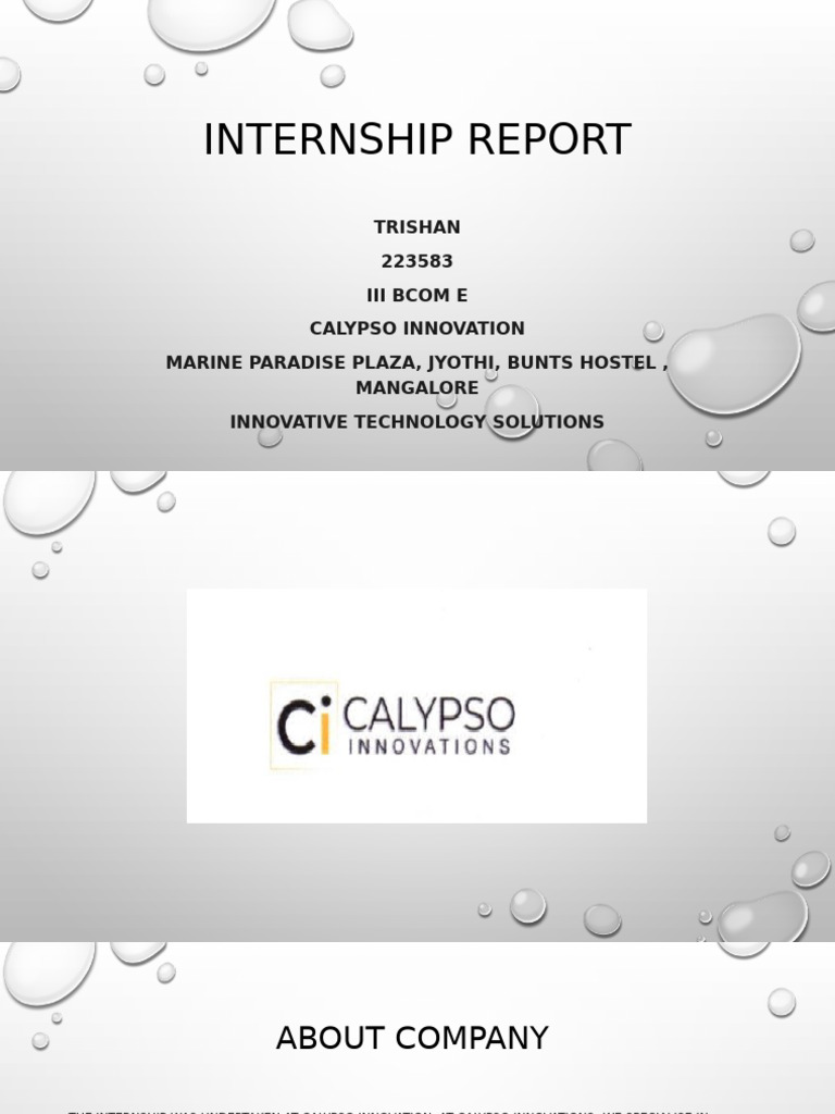 Internship Reports | PDF
