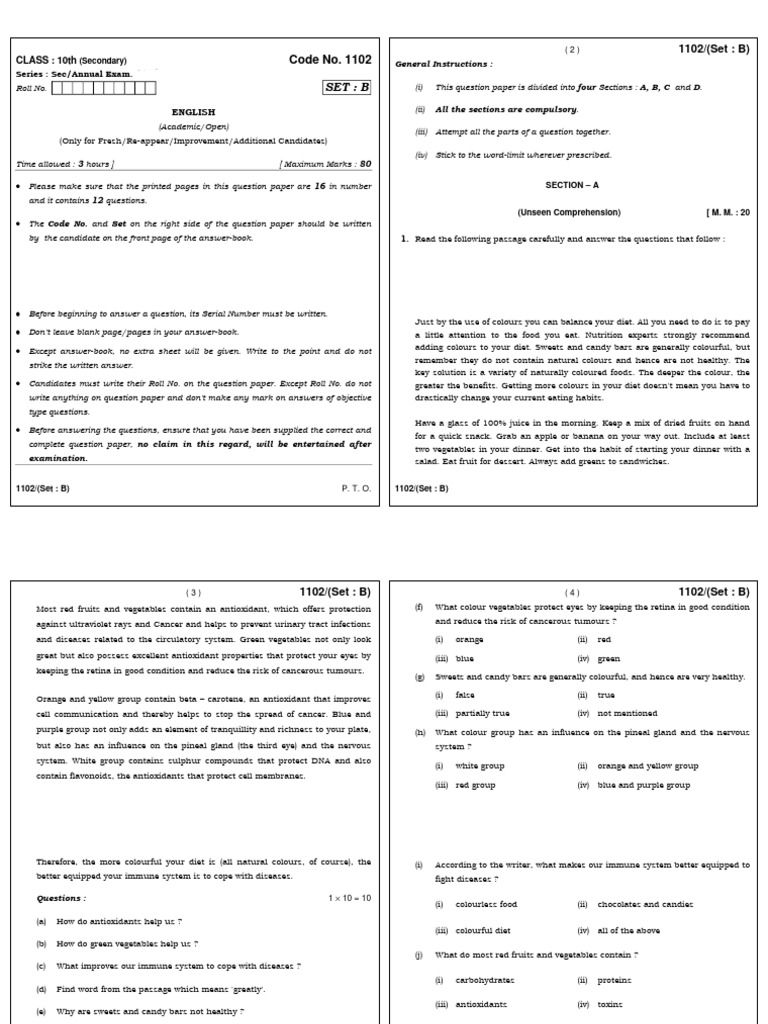 Examen de 10e année - Set B | PDF
