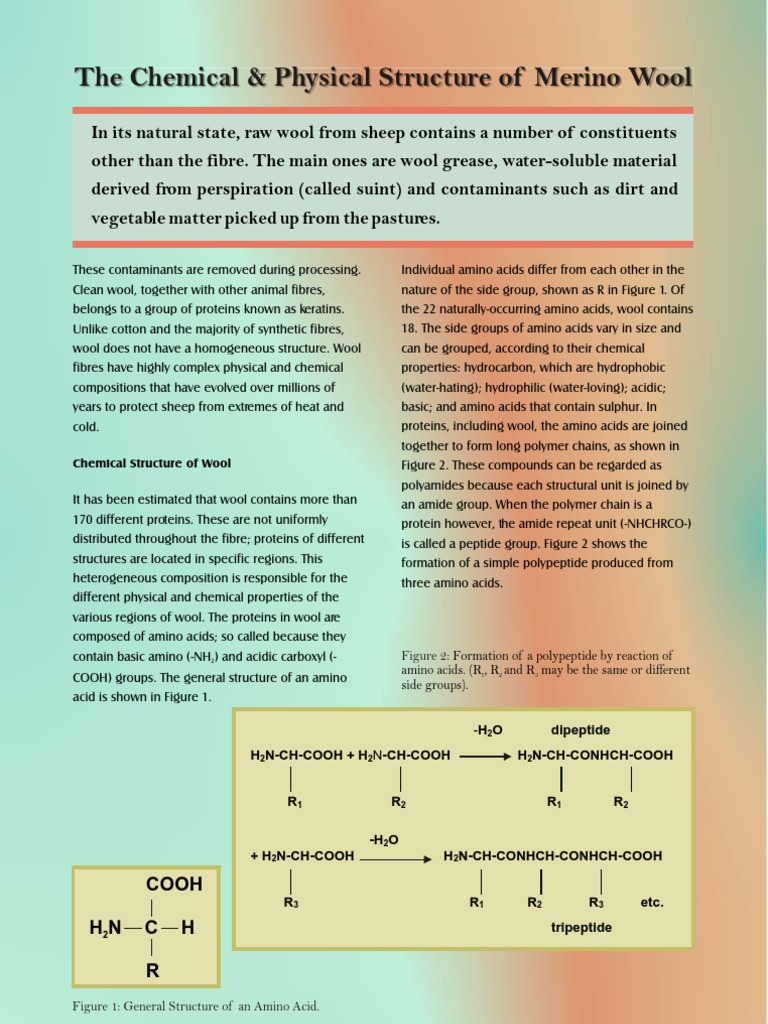 Wool Fibre Structure | PDF