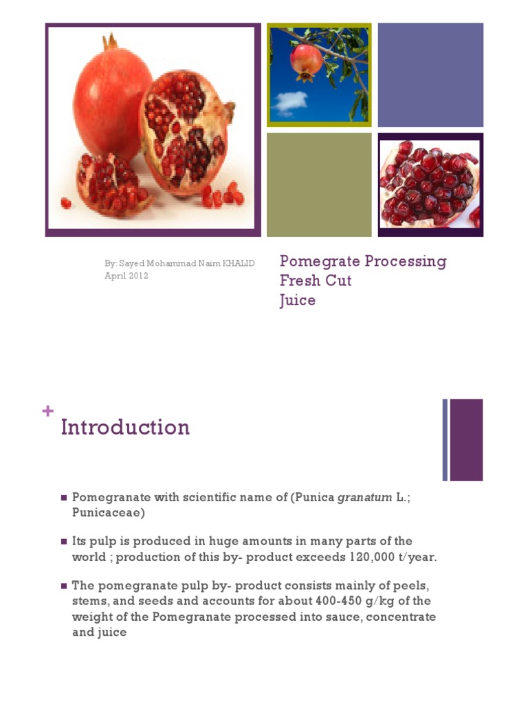 Pomegranate Processing | PDF | Pomegranate | Filtration