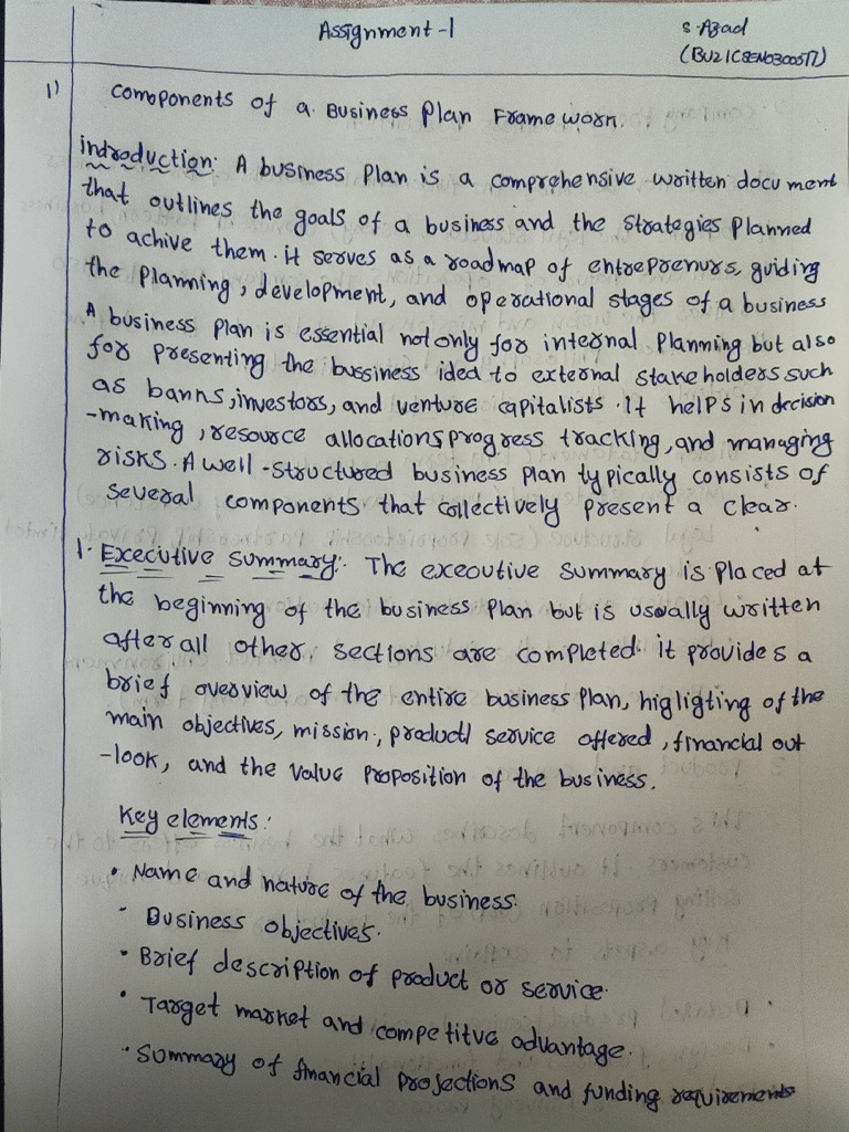 Business Plan Assignment 1 | PDF