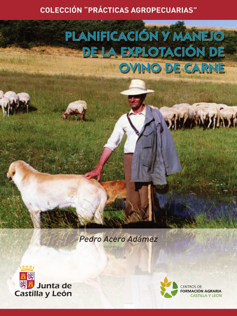Ovino+de+Carne+Web,0 | PDF | Hormona luteinizante