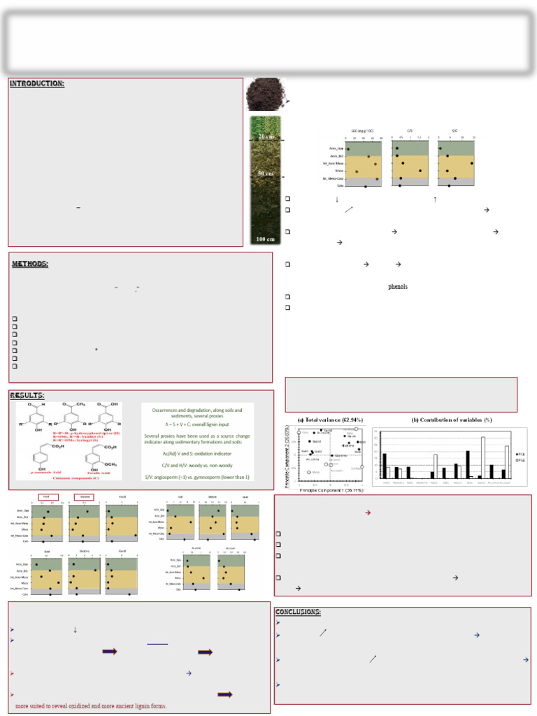 Poster-Application of HMDS Thermochemolysis For The Molecular ...