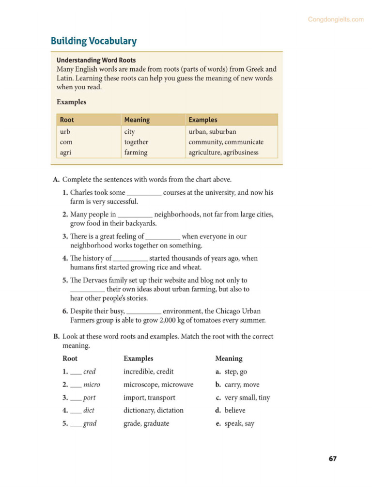 Word Roots | PDF
