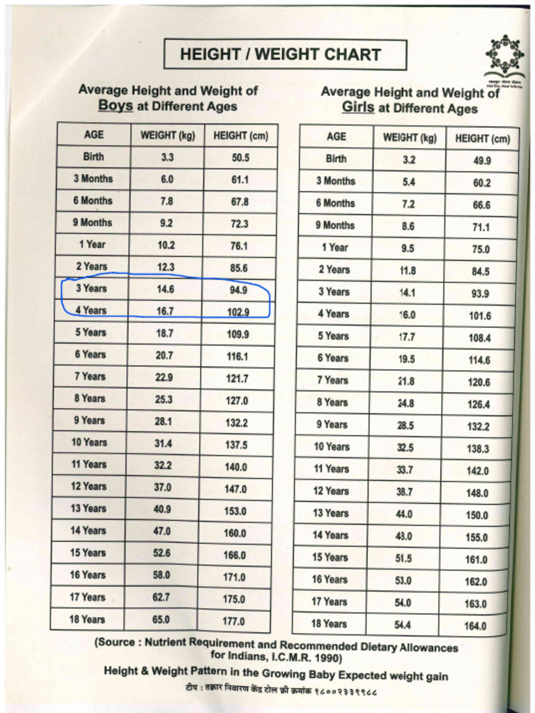 Height Width Chart | PDF