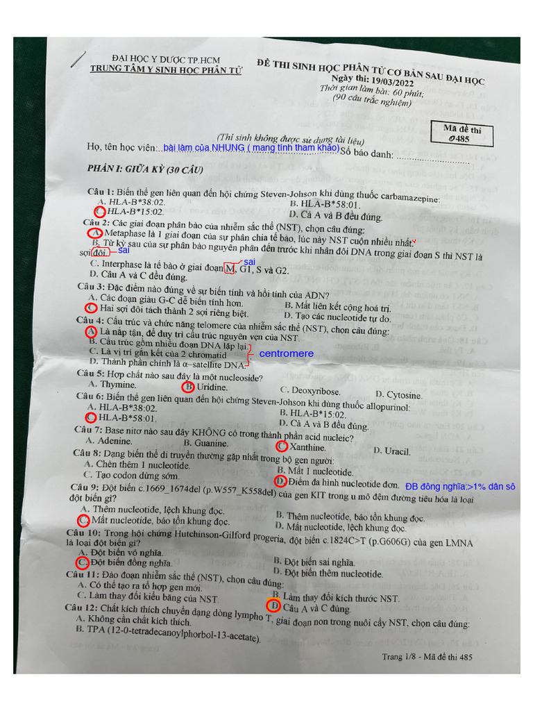 SHPT 19-3-2022 | PDF