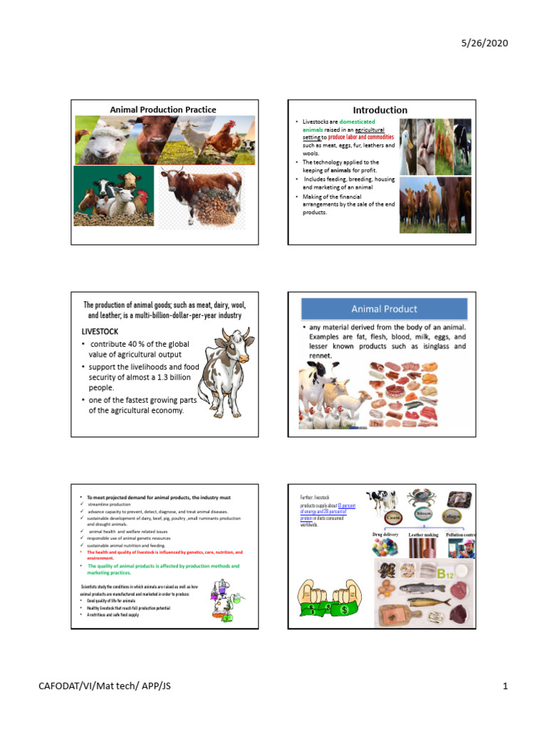 Animal Production Practices Overview | PDF | Livestock | Meat