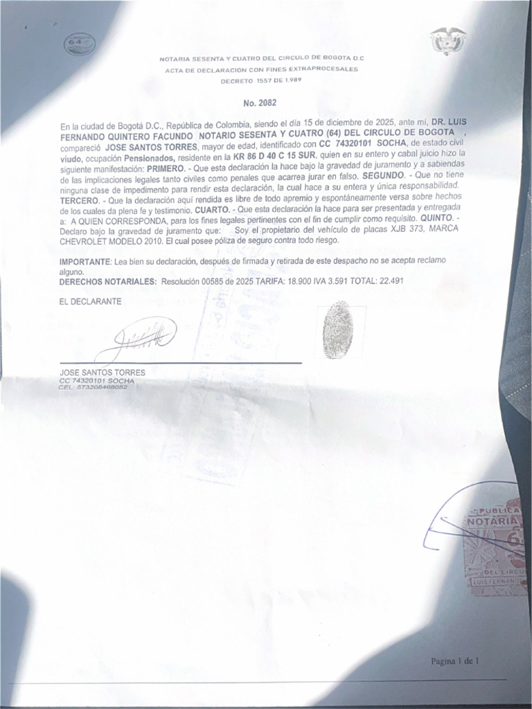 Declaración Juramentada | PDF
