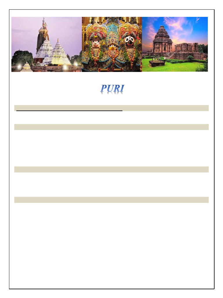 Puri From Patna by Flight | PDF