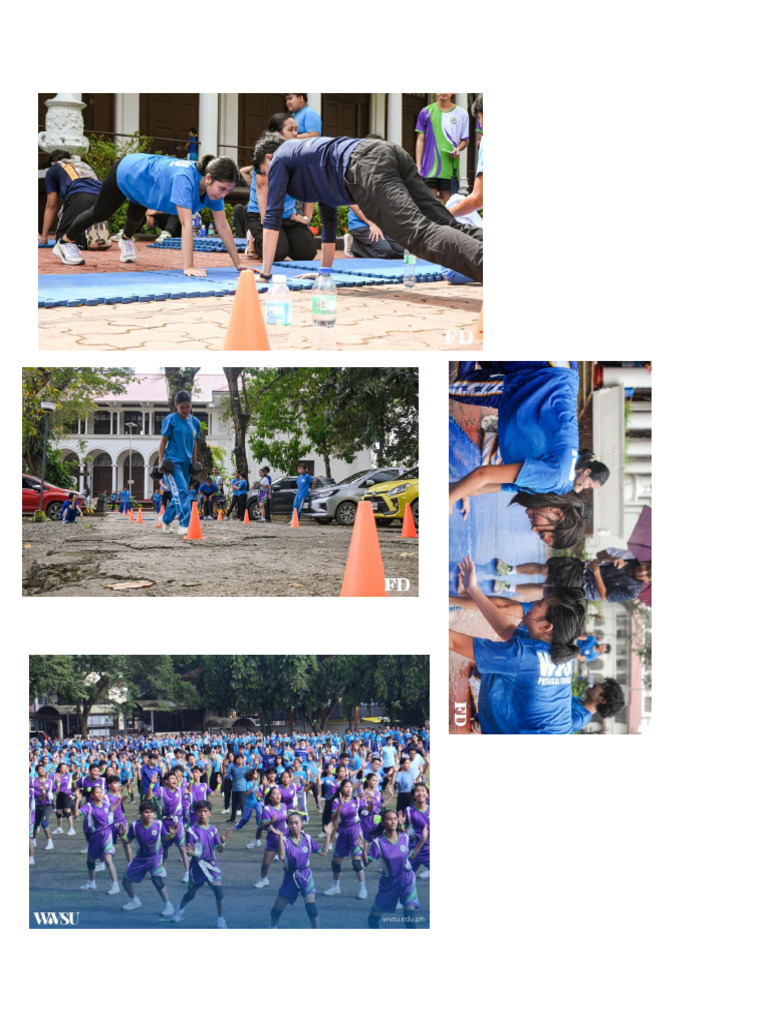 Pictures Pathfit | PDF