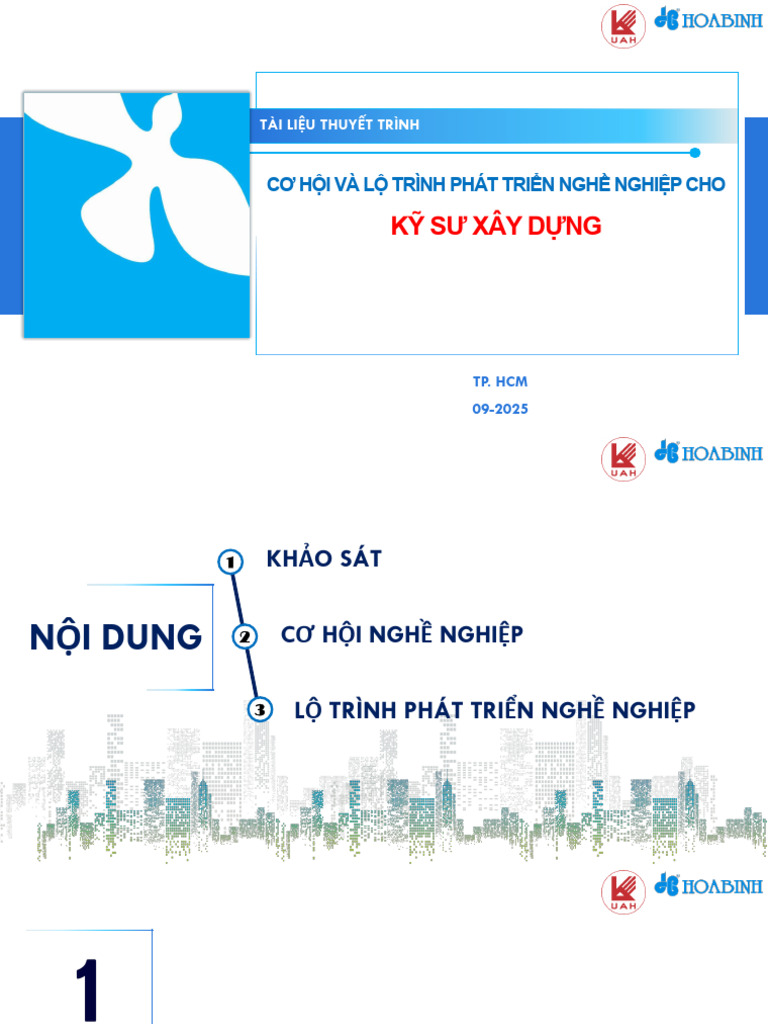 Lo Trinh Phat Trien Nghe Nghiep | PDF