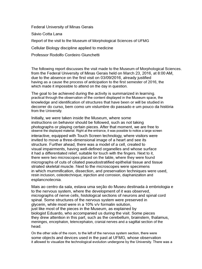 Report On Visit To The Morphology Museum UFMG | PDF | Epithelium ...