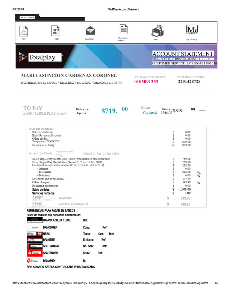 Total Play Account Statement 2019 | PDF | Financial Services | Banks
