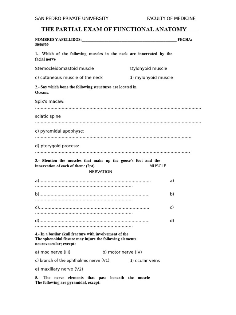 Partial Exam Morphology1 HUMAN ANATOMY - MEDICINE | PDF | Vein | Vertebra