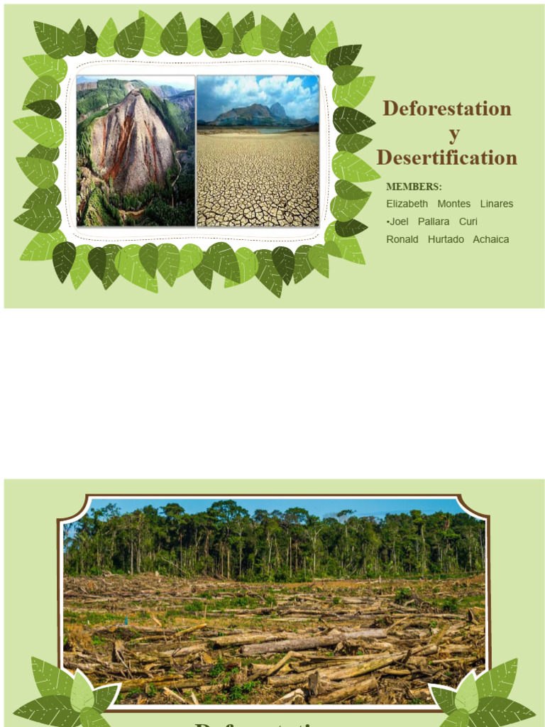 Deforestation and Desertification | PDF | Deforestation | Environmental ...