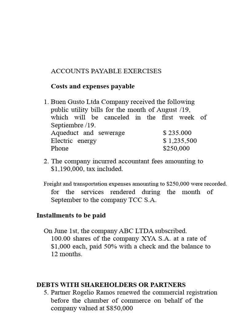 Accounts Payable Exercises Overview | PDF