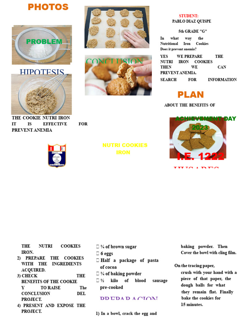Triptych Science Achievement Day | PDF | Anemia | Foods