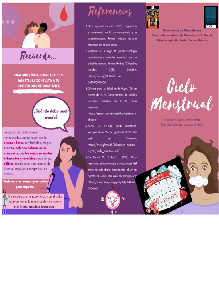 Menstrual Cycle Infographic | PDF