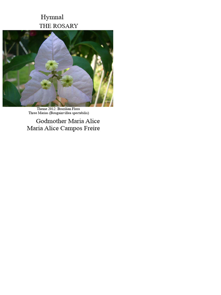 Godmother Maria Alice - The Rosary | PDF