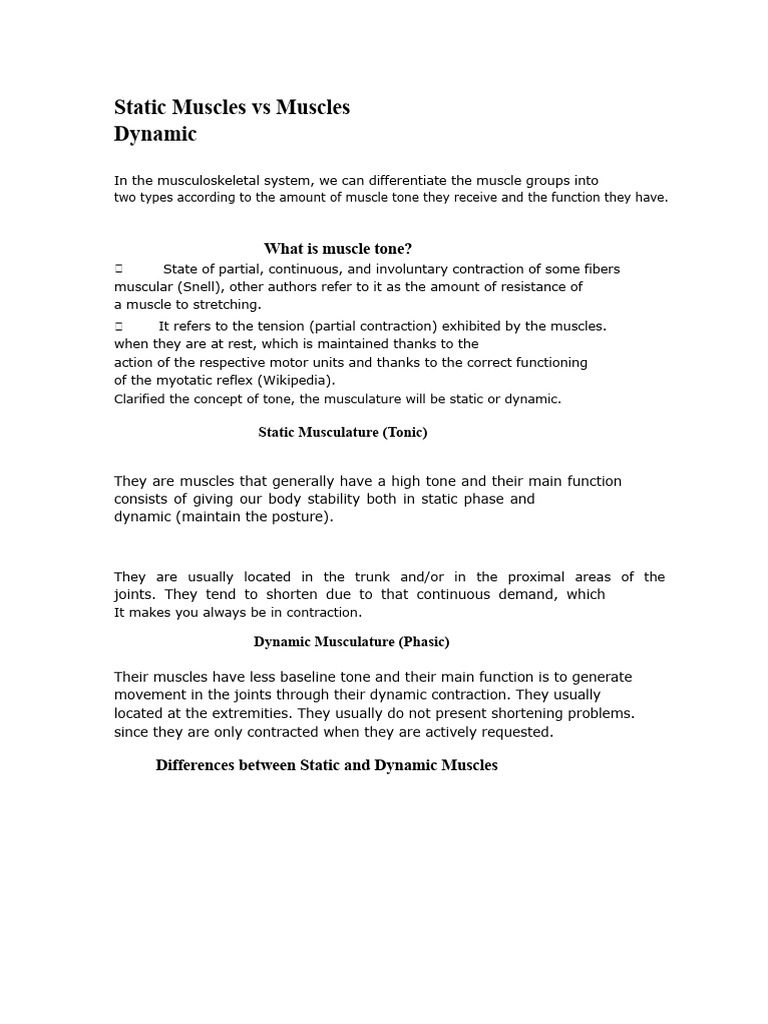 Static vs Dynamic Muscles Explained | PDF | Skeletal Muscle | Muscle ...