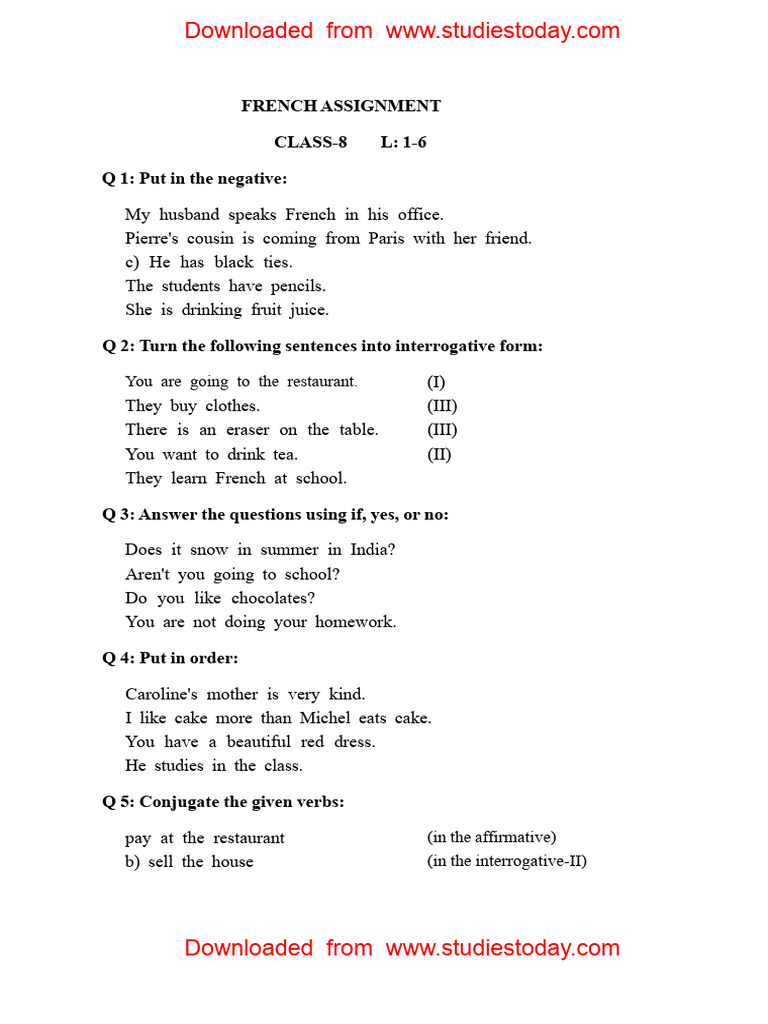 French Assignment for Class 8 Students | PDF | Grammar | Morphology
