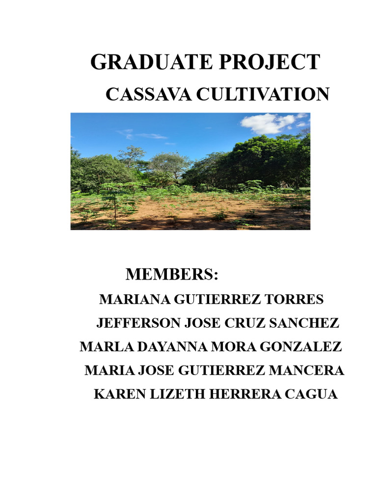 Profitable Cassava Cultivation Project | PDF