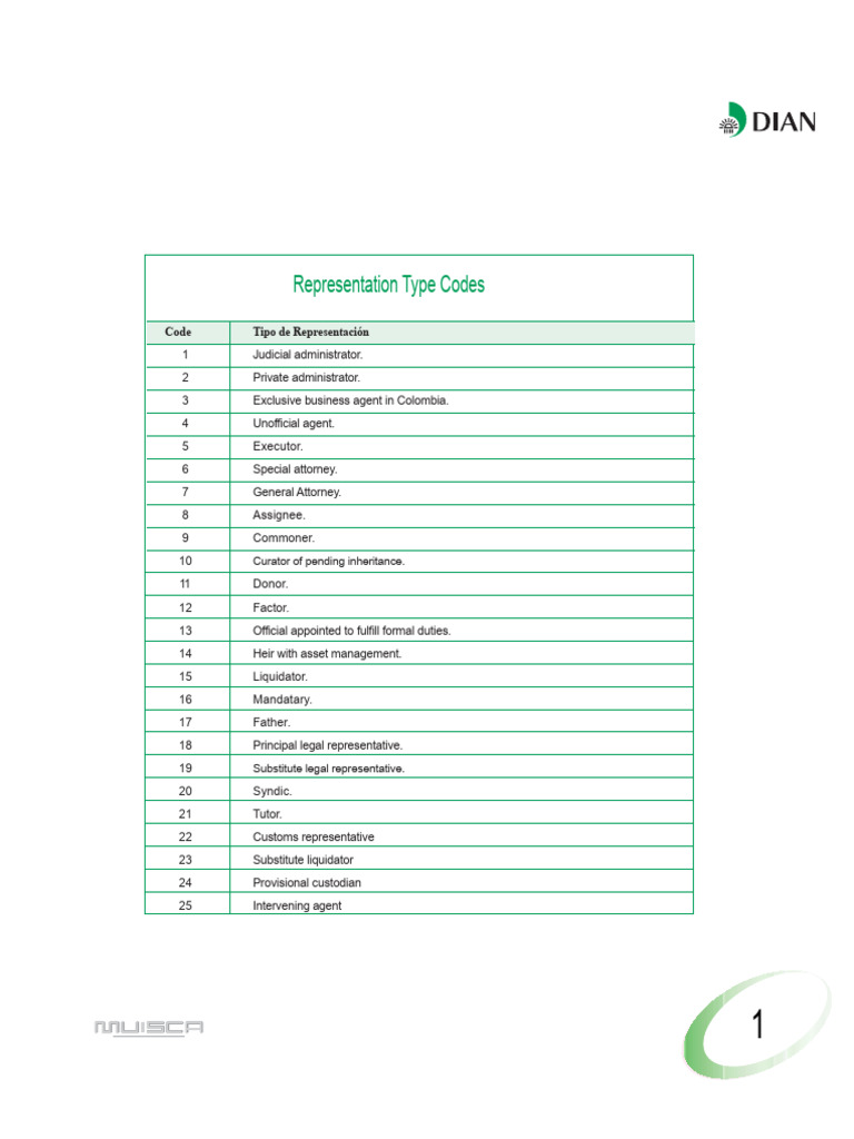 Types of Legal Representation Codes | PDF