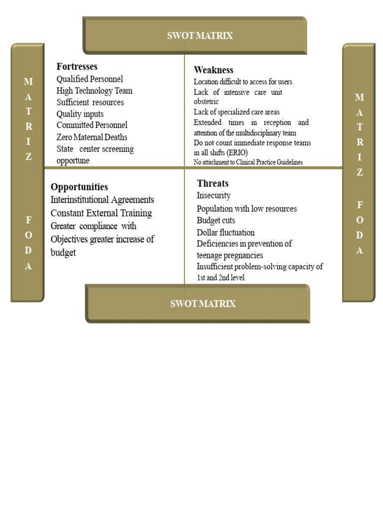 SWOT Analysis for Healthcare Services | PDF