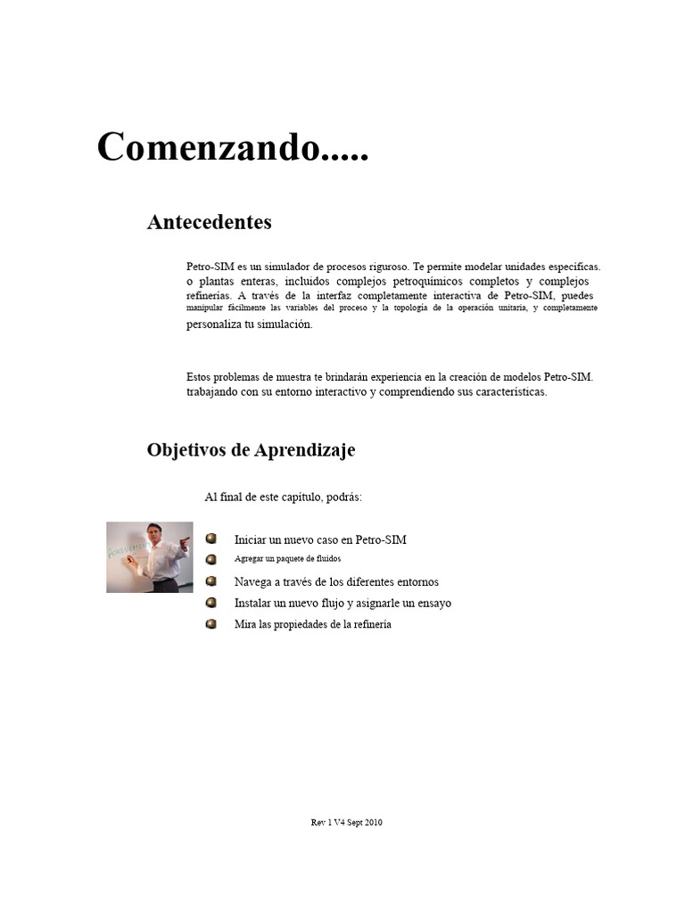 Guía Rápida para Usar Petro-SIM | PDF | Botón (Computación) | Calor