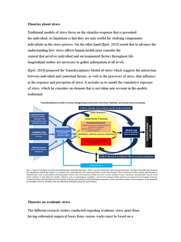 Understanding Academic Stress Models | PDF | Stress (Biology) | Cognition
