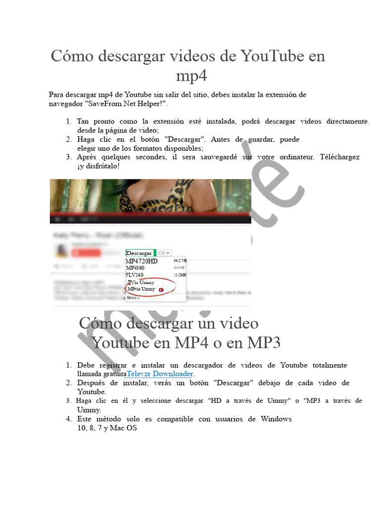 Cómo descargar videos de YouTube en MP4 | PDF | Youtube | Red mundial