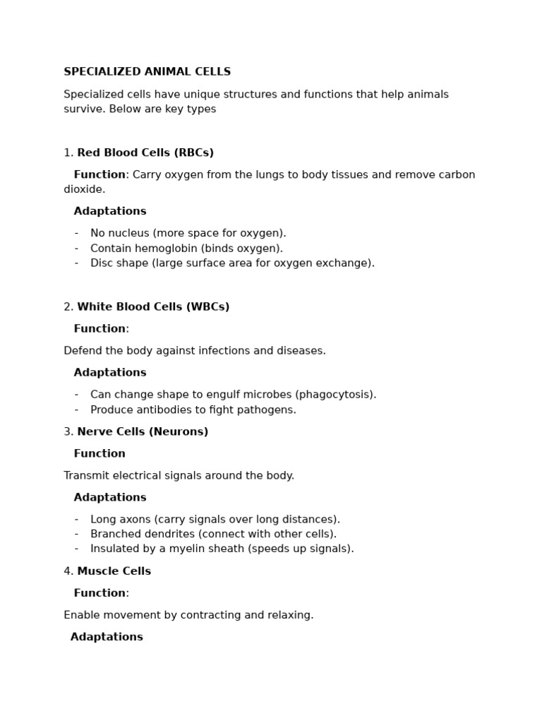 Biology Simplified Notes | PDF | Leaf | Histology
