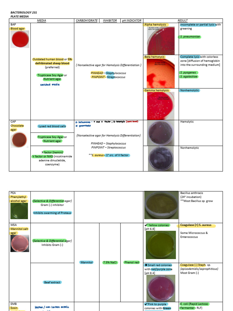 49153440 Bacterial Culture Media in Plate Tube | PDF | Streptococcus ...