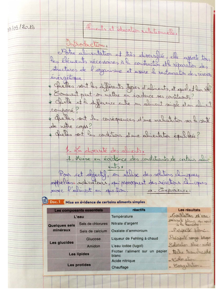 Aliments Et Éducation Nutritionnelle | PDF