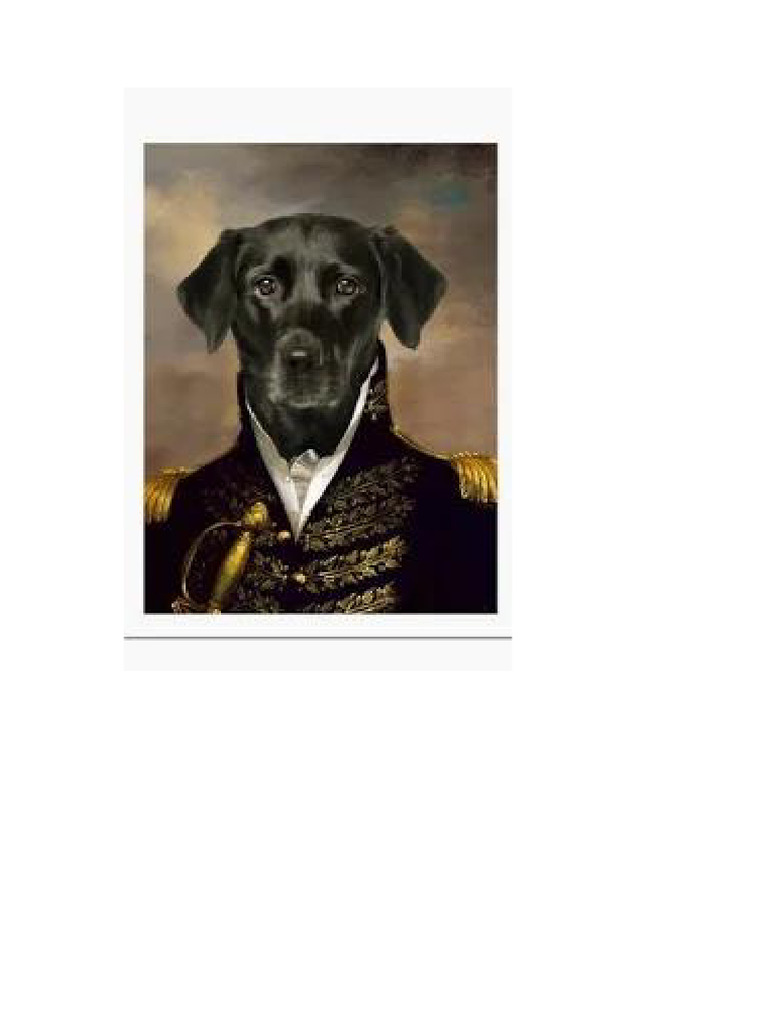Dog | PDF