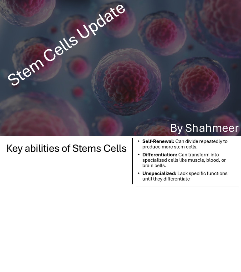 Key Abilities of Stem Cells Explained | PDF