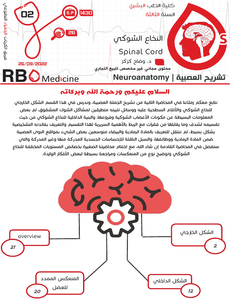 Neuroanatomy-L02- | PDF