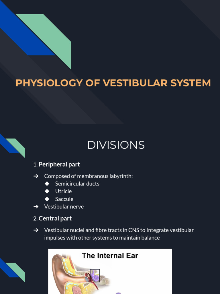 Vestibular System Physiology Explained | PDF | Vestibular System | Vertigo