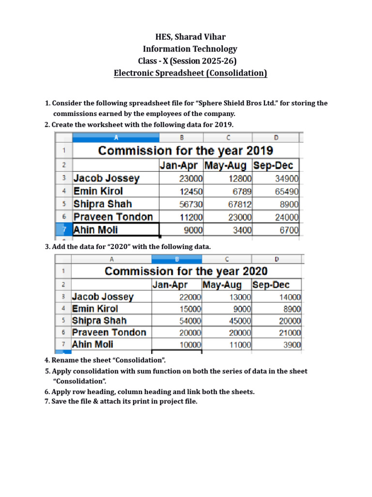 Electronic Spreadsheet Project Work | PDF | Spreadsheet | Worksheet
