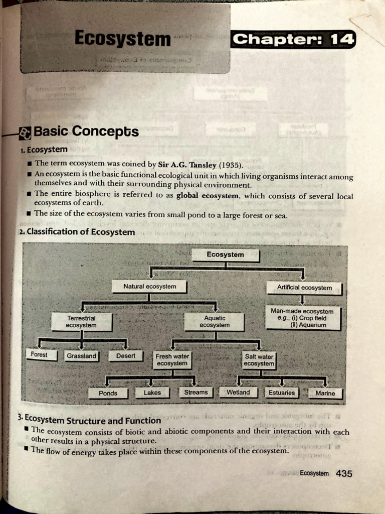 Ecosystems | PDF