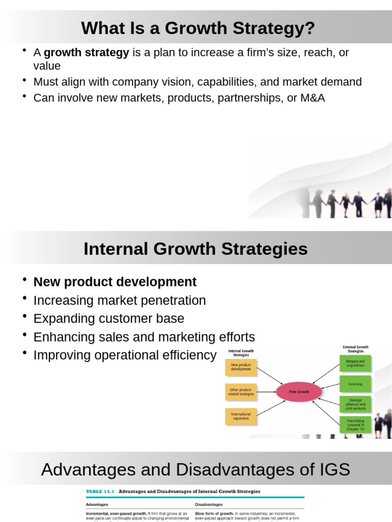 Understanding Growth Strategies for Businesses | PDF