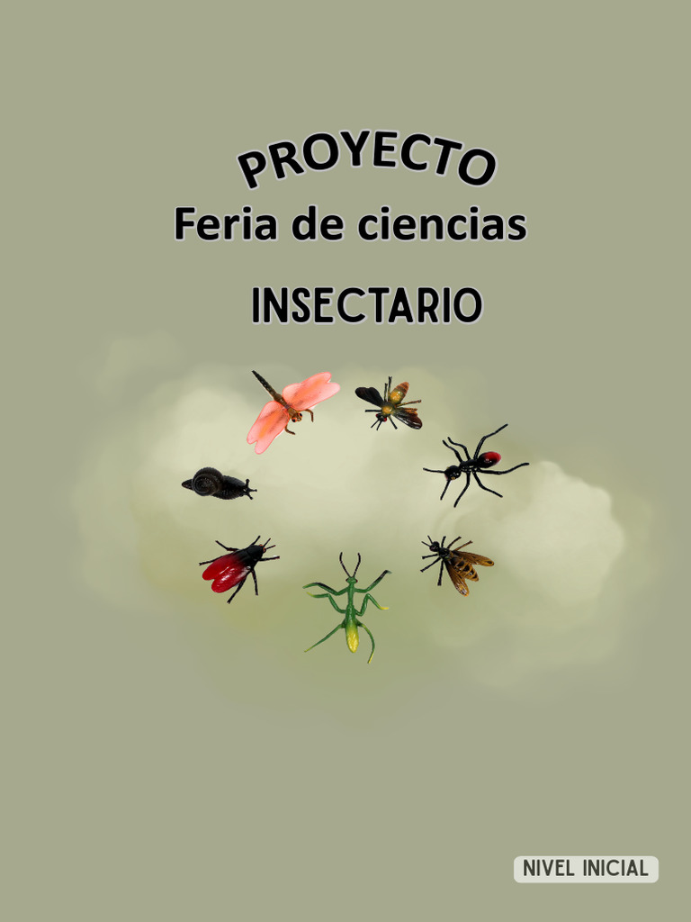 Proyecto Insectario para Feria de Ciencias | PDF | Educación de la ...