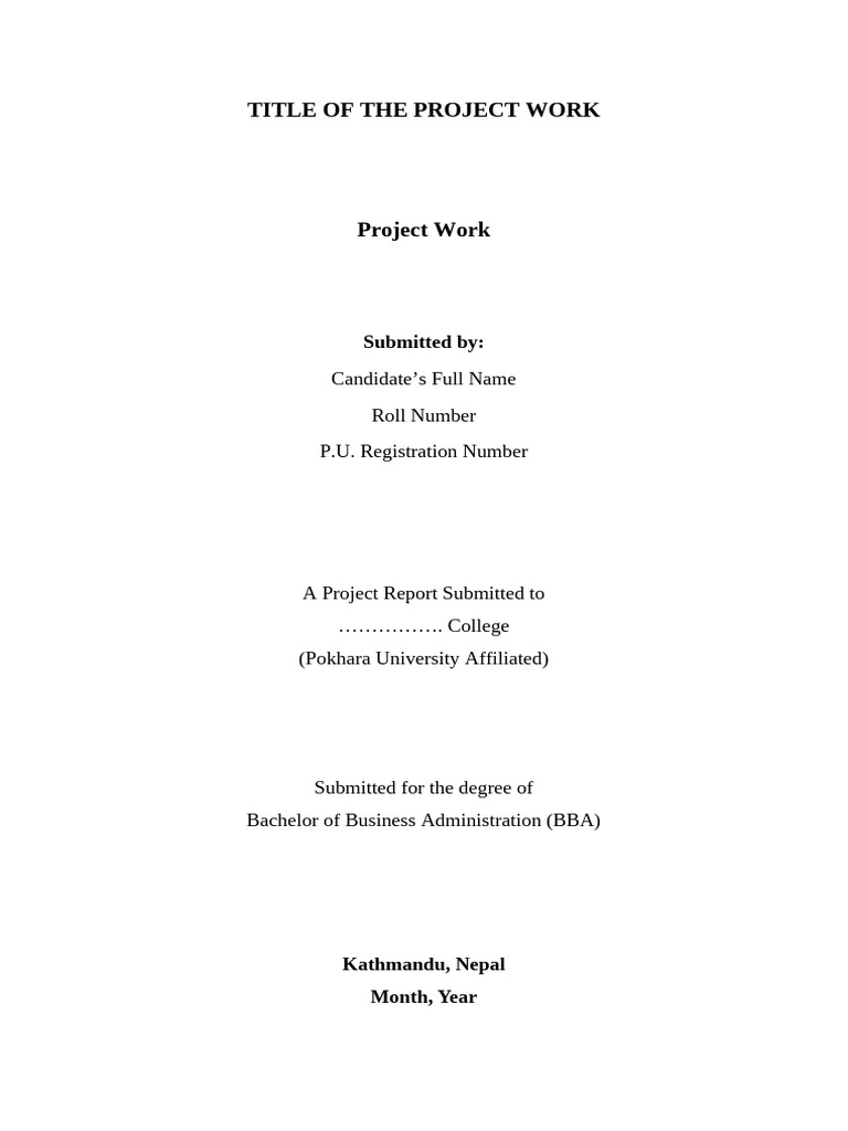 Project Work Format | PDF | Entrepreneurship | Startup Company