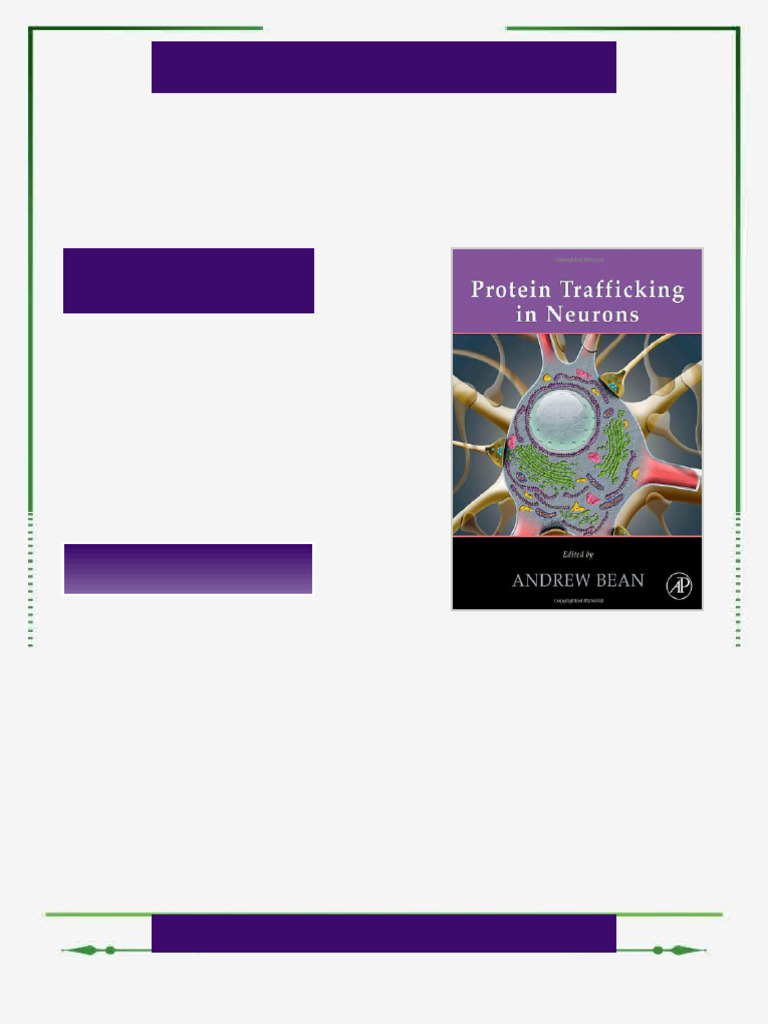 Protein Trafficking in Neurons 1st Edition Andrew J. Bean ebook synced digital version | PDF ...